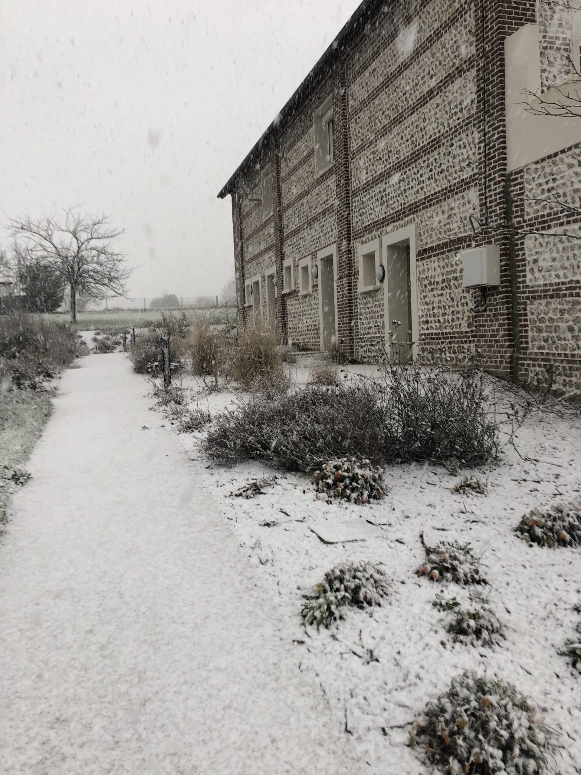 LES LOGIAS – Les Sept Logias